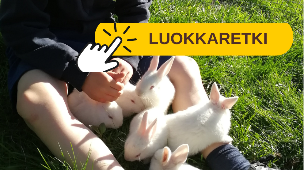 Myynnissä tai vuokrataan - Farm Escape