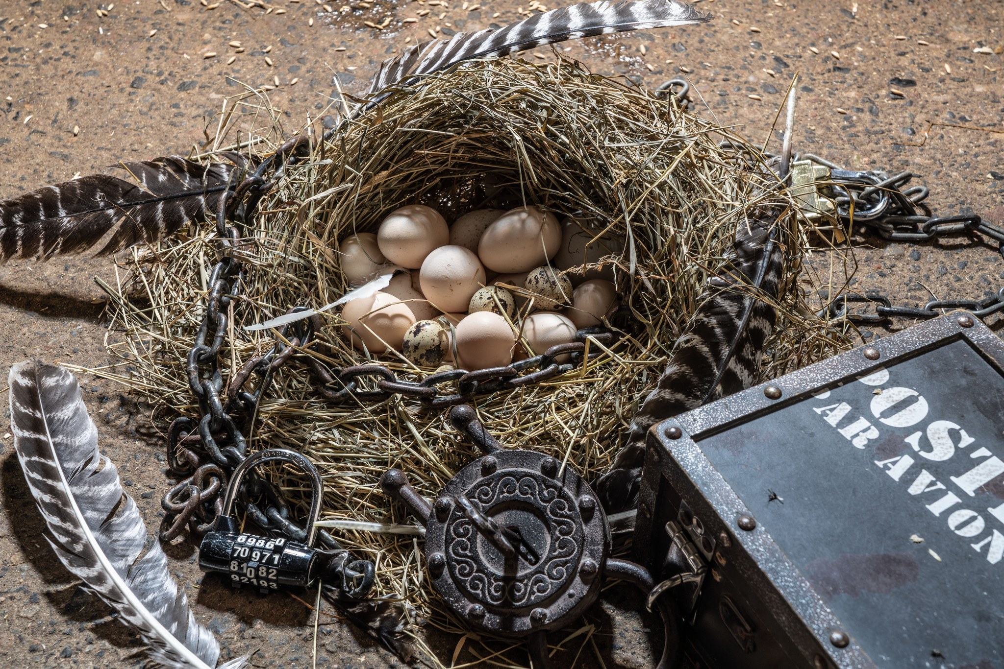 Animal escape room games on your own farm - Farm Escape